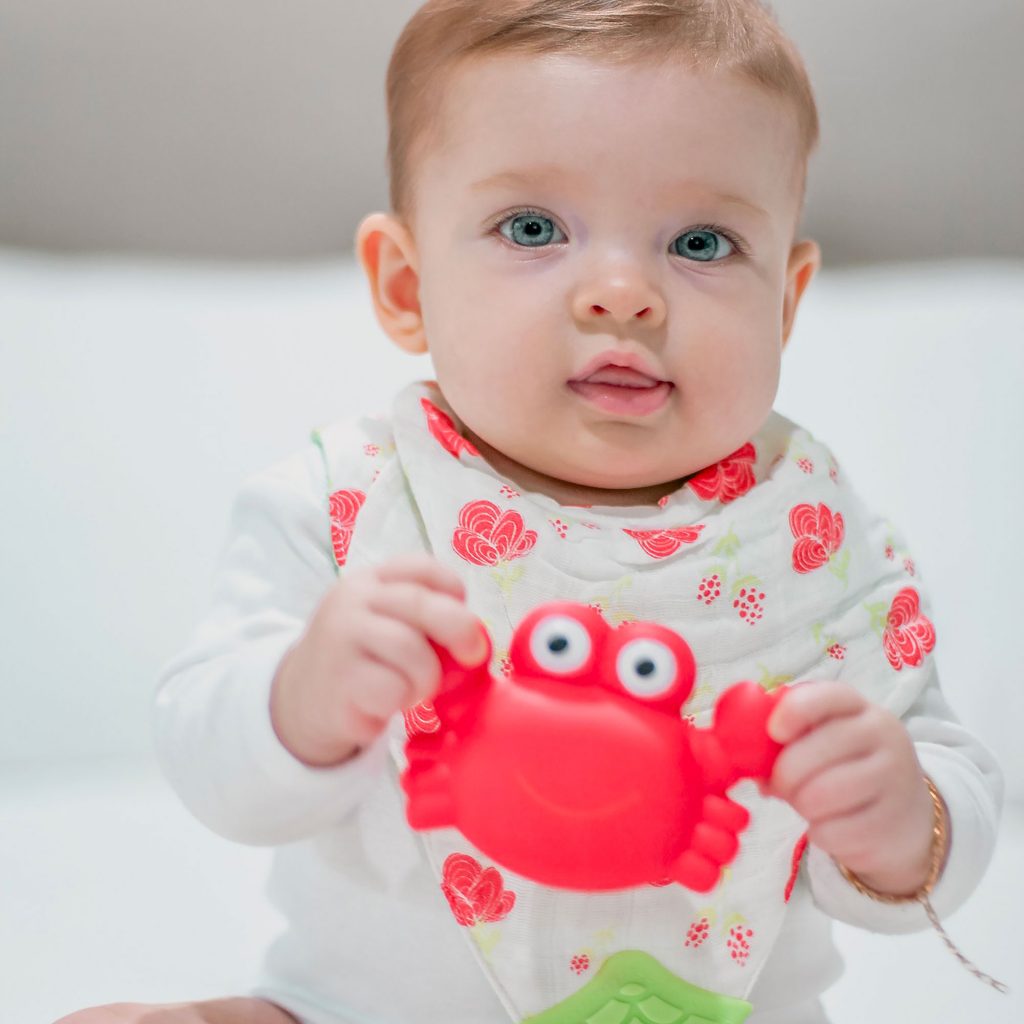 Floating Sea Friends – Fully Sealed – Playgro United State